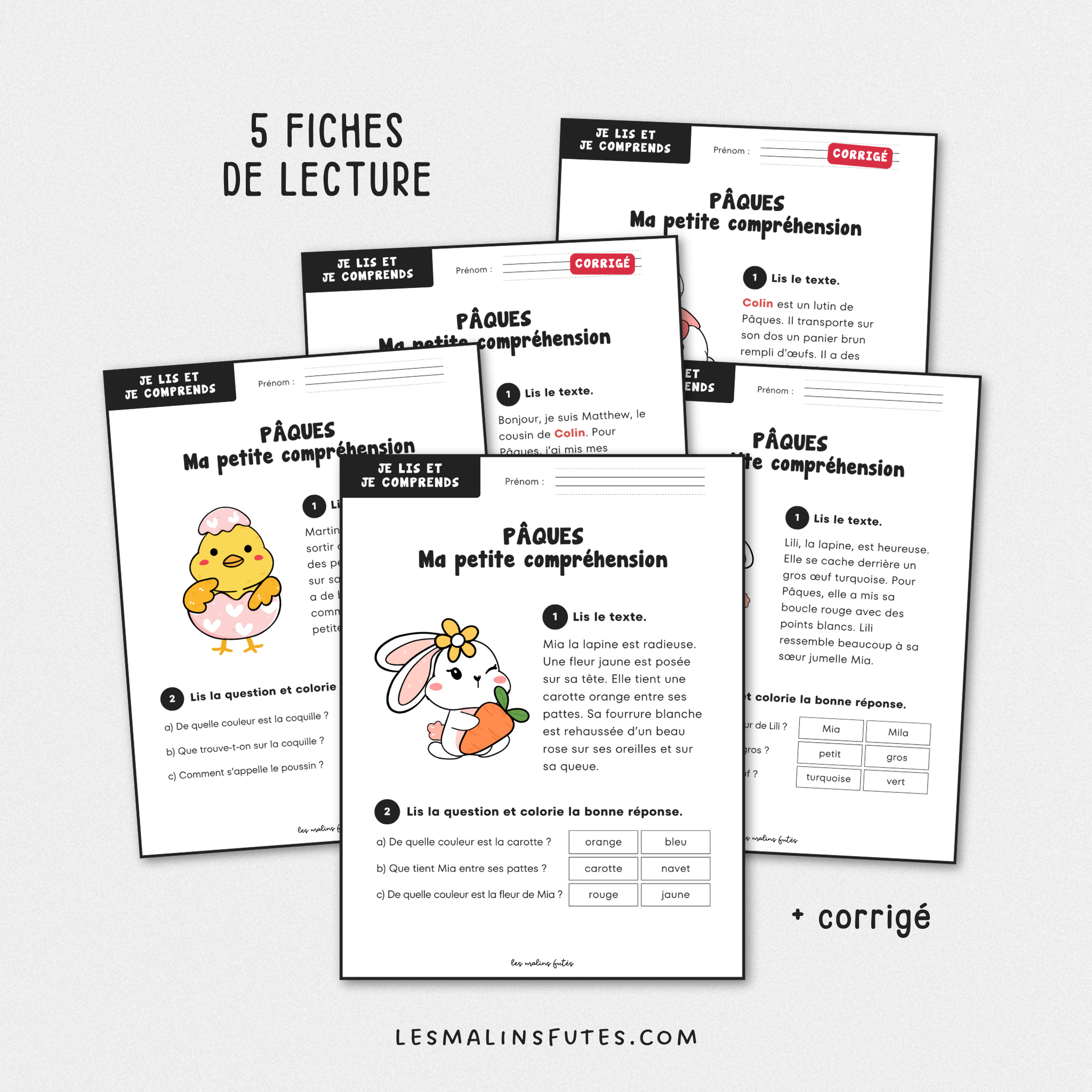 Ma petite compréhension – Pâques - 1re année – Les Malins Futés