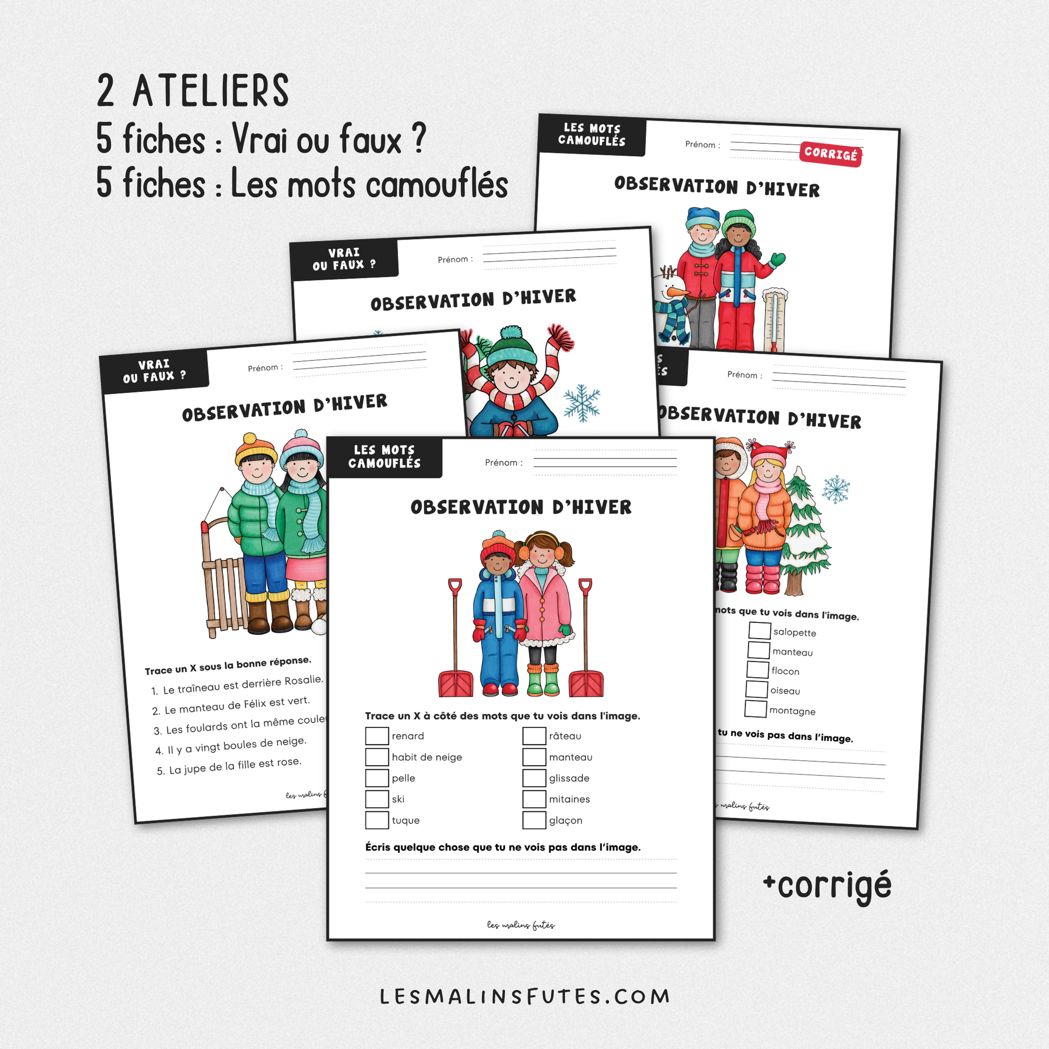 Lecture 1er cycle - Observation d'hiver | Atelier de lecture et de ...