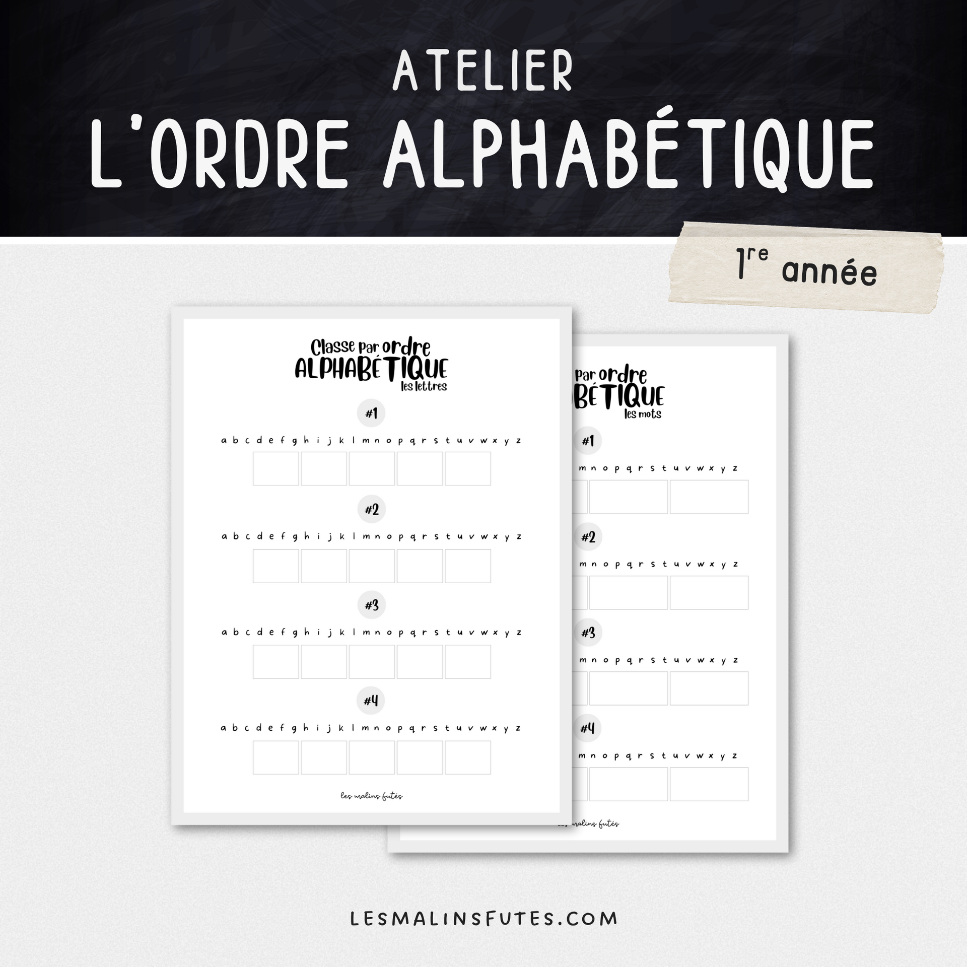 Activité : L'ordre alphabétique - 1re année – Les Malins Futés