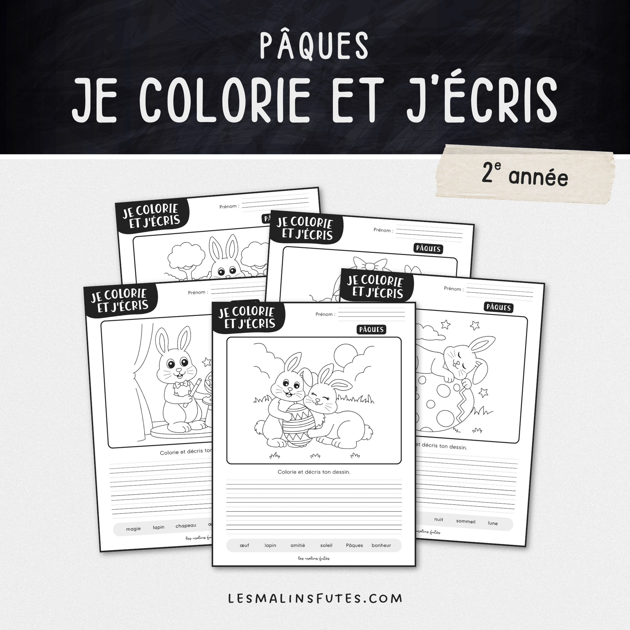 Je colorie et j'écris - 2e année – Les Malins Futés