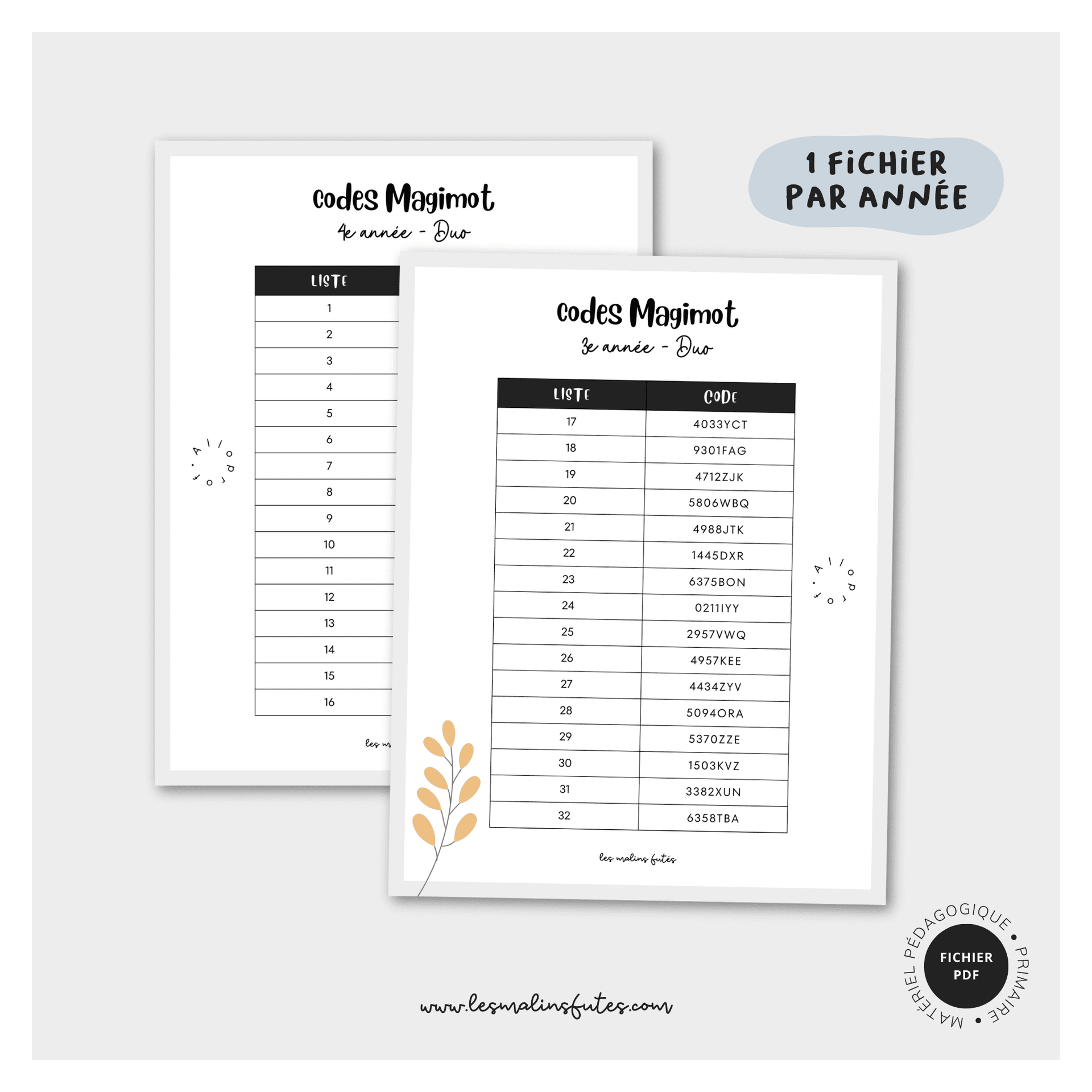 Codes Magimot - cahier Duo – Les Malins Futés