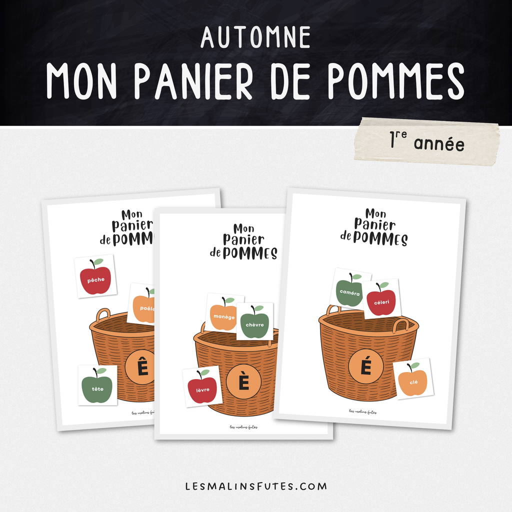 Activité : Mon panier de pommes - Automne - 1re année – Les Malins Futés